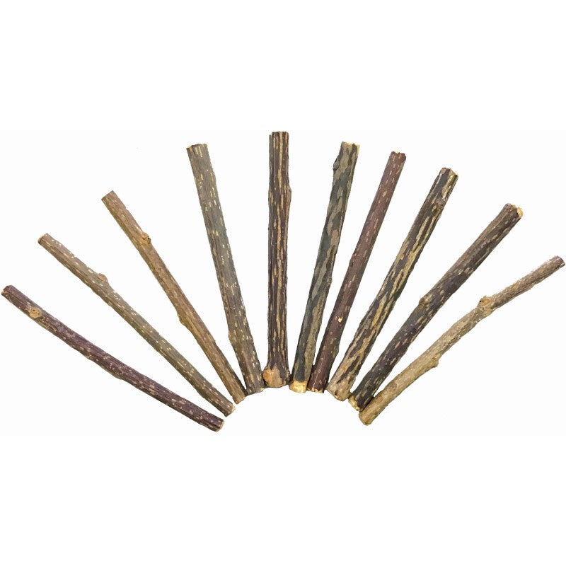 From the Field Silver Vine Stick – Natural Pet Center