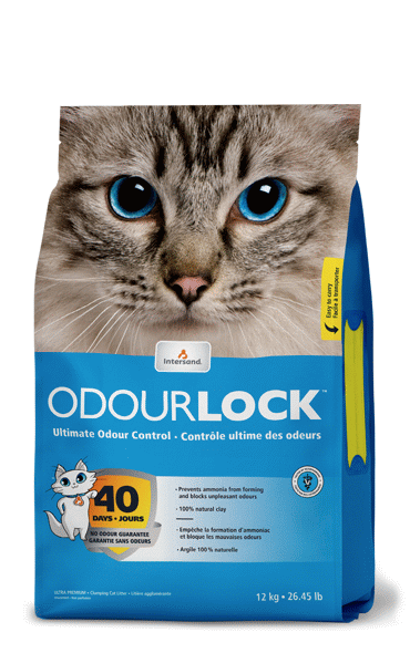 Intersand Odor Lock Litter — Natural Pet Center